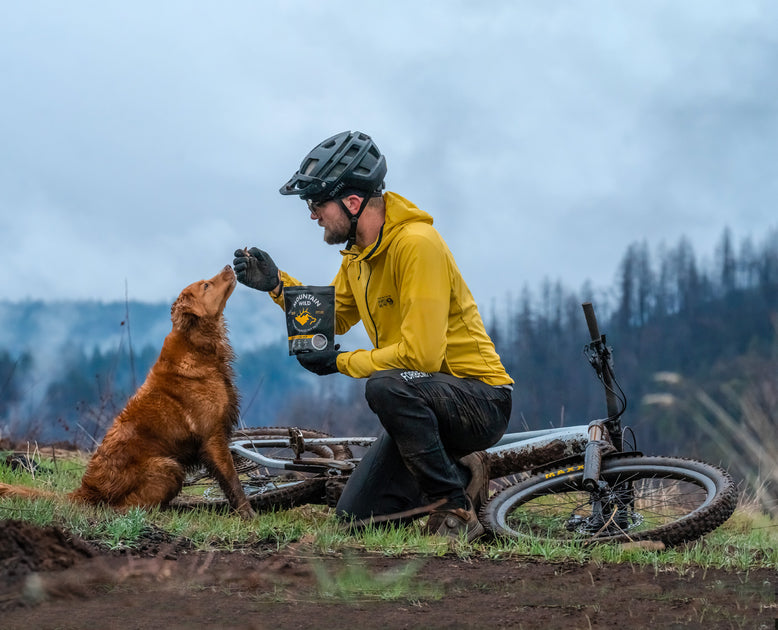 WHY RED MEAT IS SO IMPORTANT FOR DOGS – Mountain Wild Pet